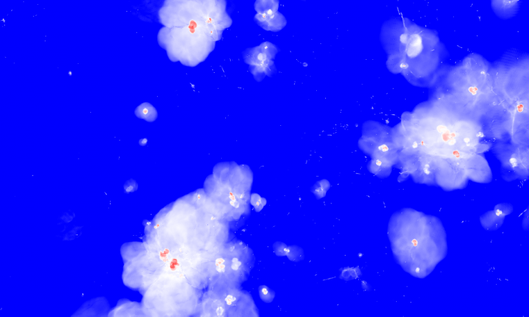 The SPHINX project – Cosmological radiation-hydrodynamical simulations ...